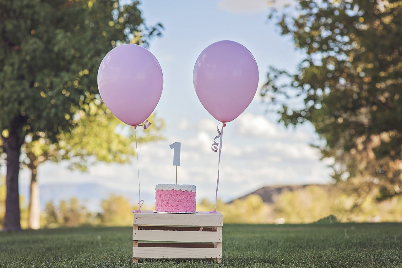 Farm Birthday Party - Happy Tails Homestead LLC interactive farm experience